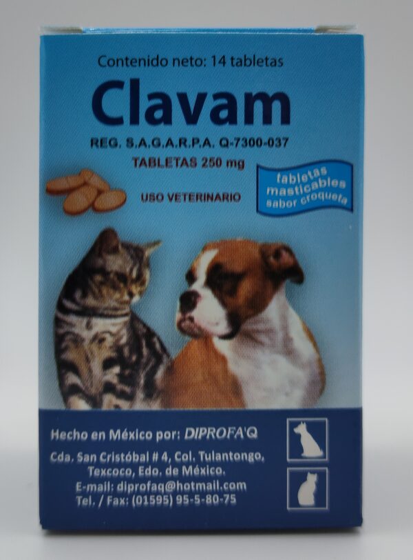 CLAVAM TABLETAS 62.5MG 14 TABLETAS – Veterinaria Tucan